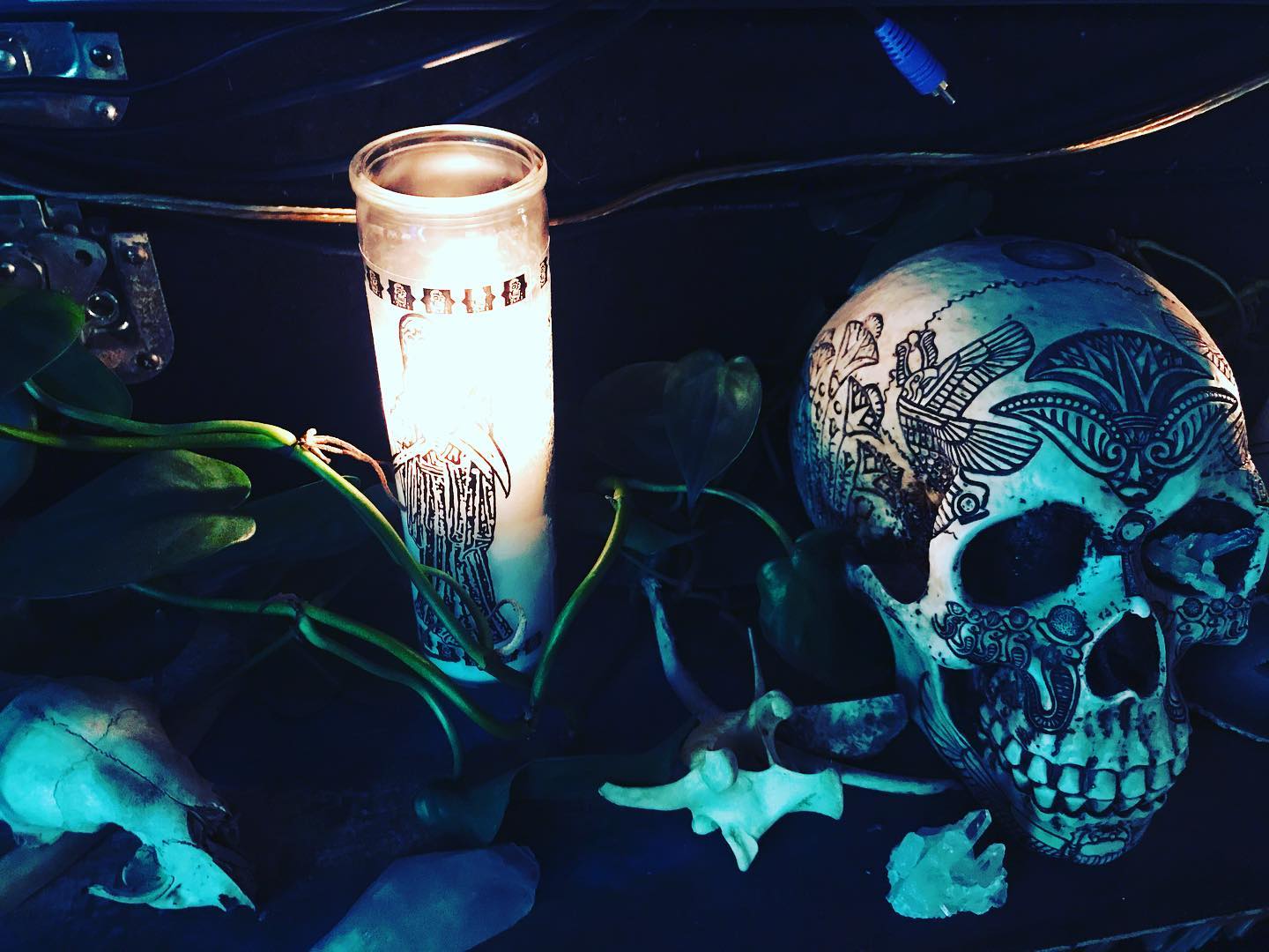 Drips Botanical Elements